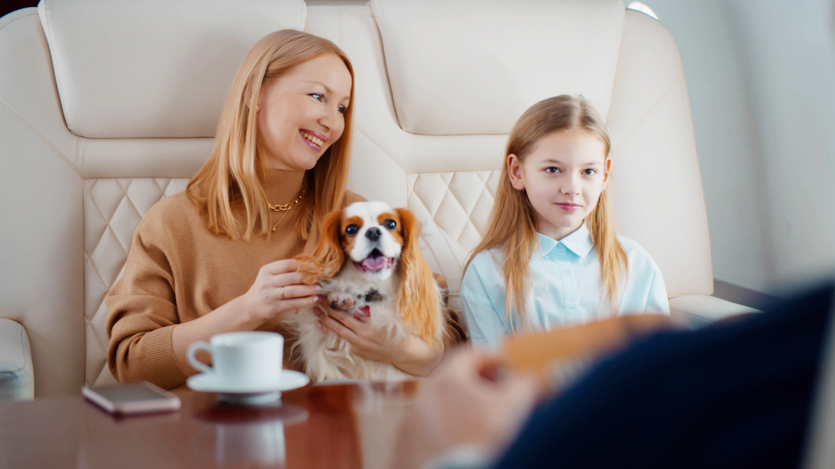 Can You Bring Dogs on Private Jets? Full Guide 2025 - Private jet ...